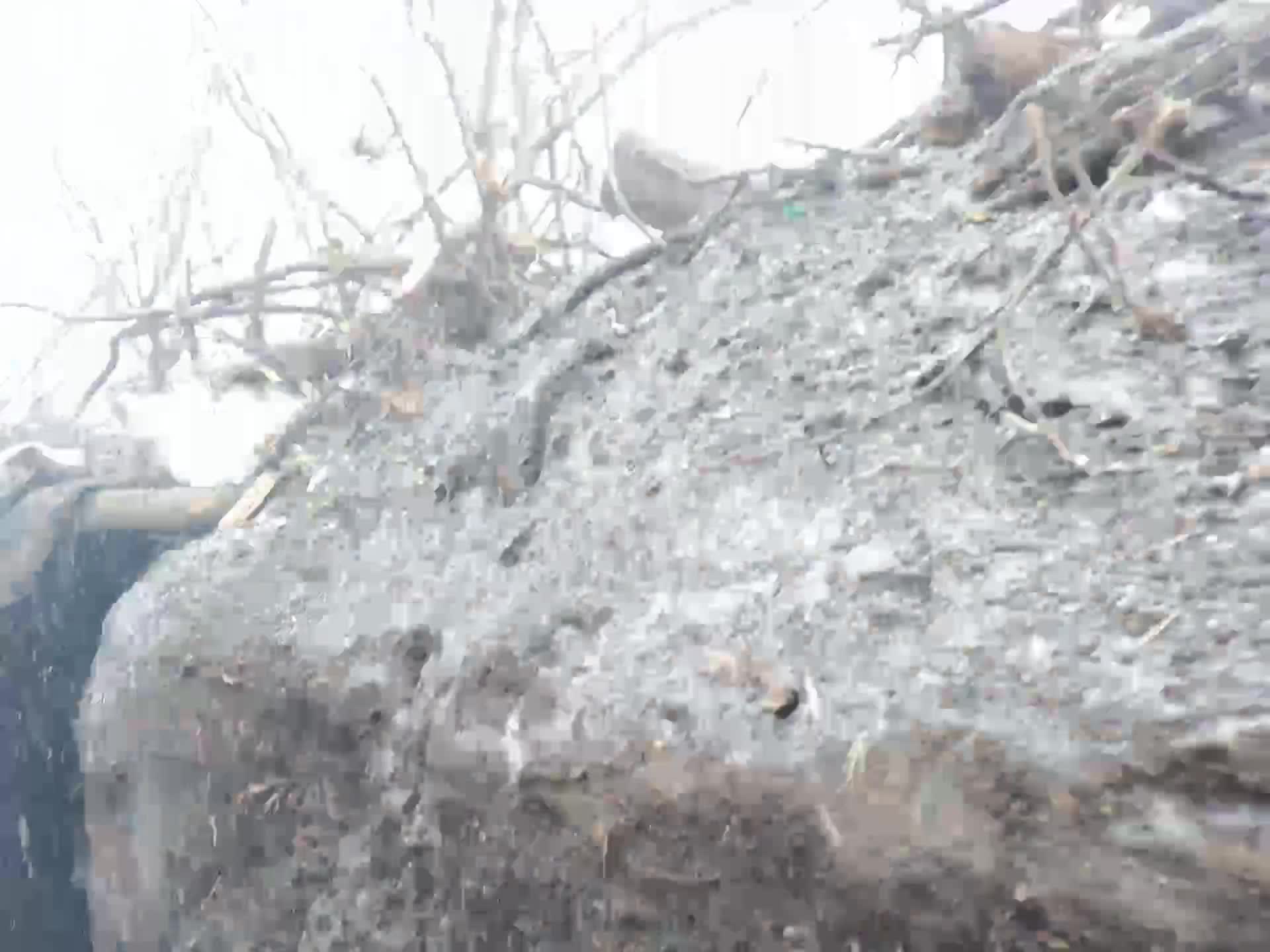 Close combat in 2023 through the eyes of a Ukrainian infantryman with ...